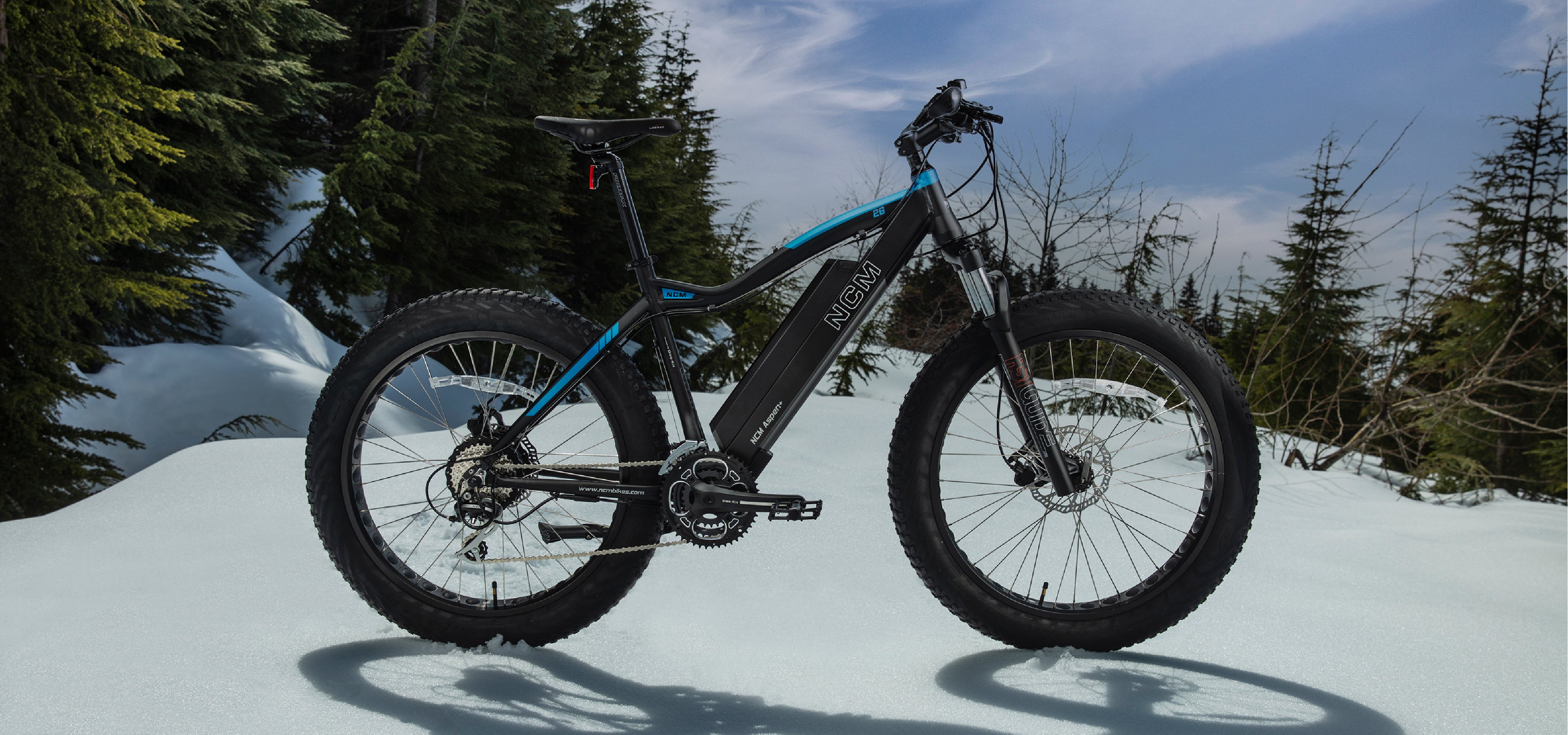 NCM Aspen Plus